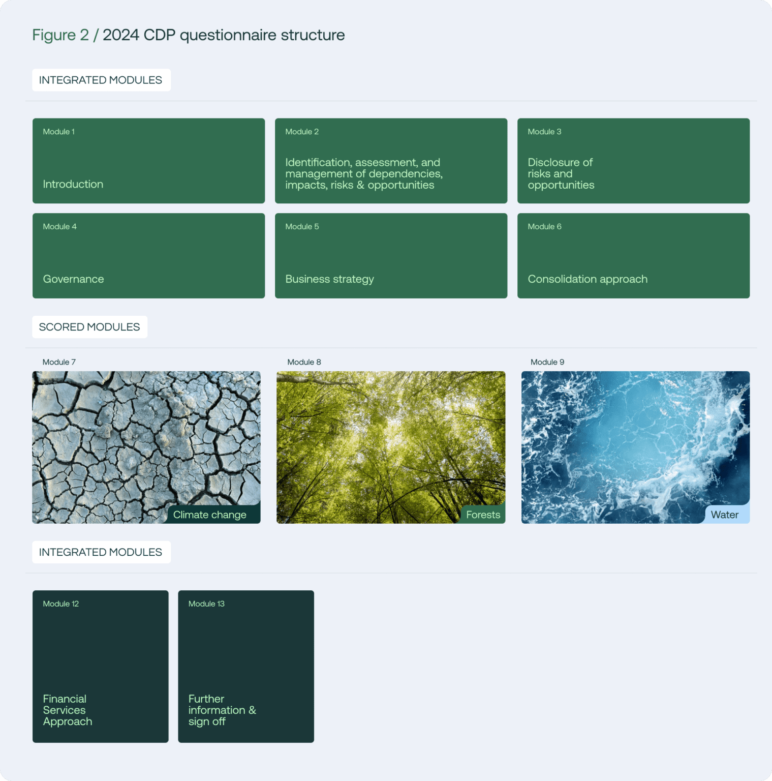 What you need to know to complete the CDP questionnaire | Nexio Projects