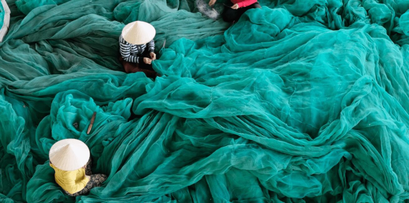 Navigating the CSDDD: What businesses need to know | Nexio Projects