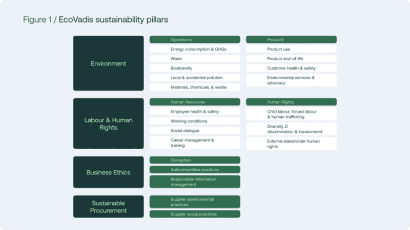 What you need to know for your 2024 EcoVadis Assessment | Nexio Projects
