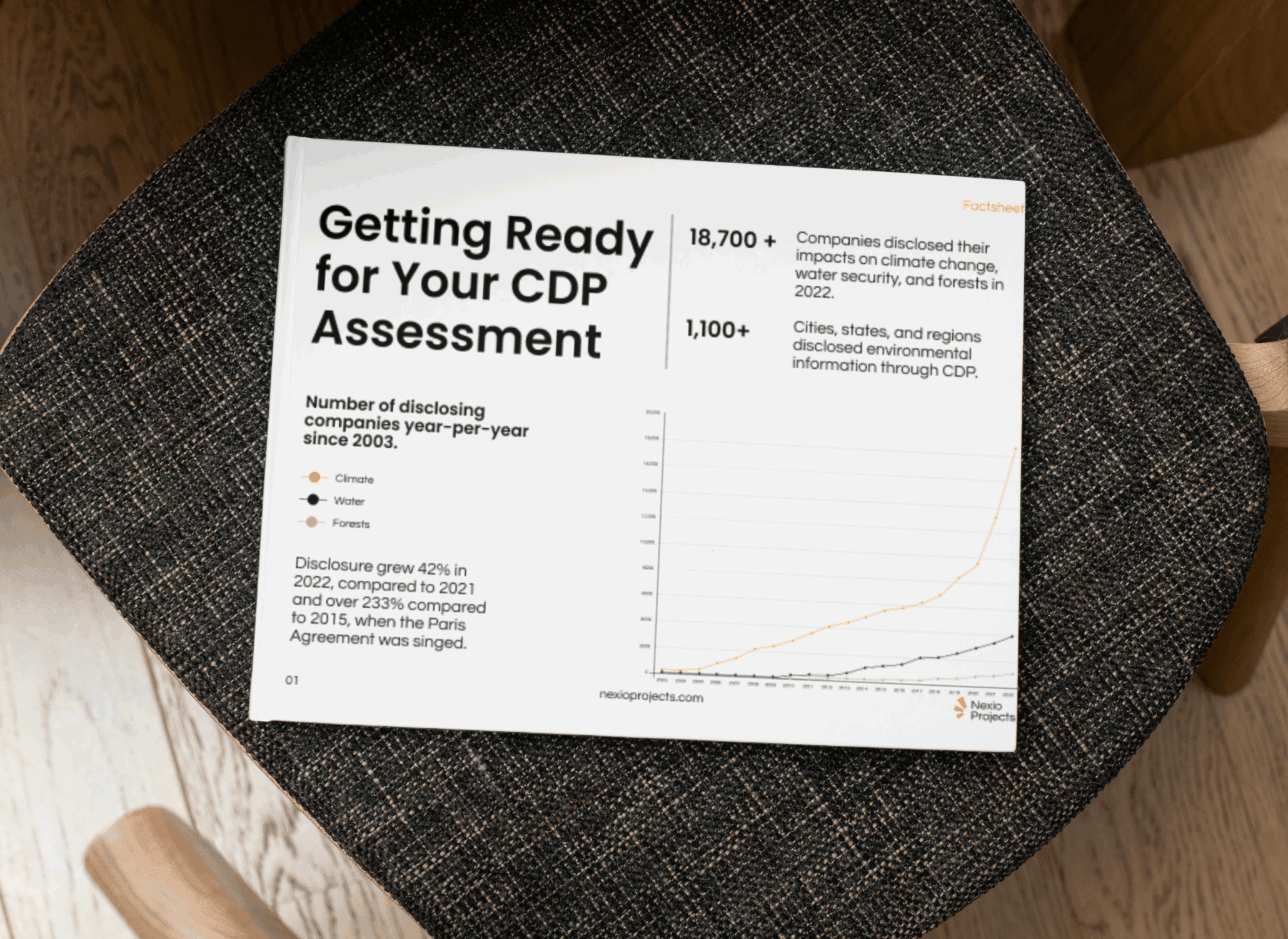Getting ready for your CDP assessment | Nexio Projects