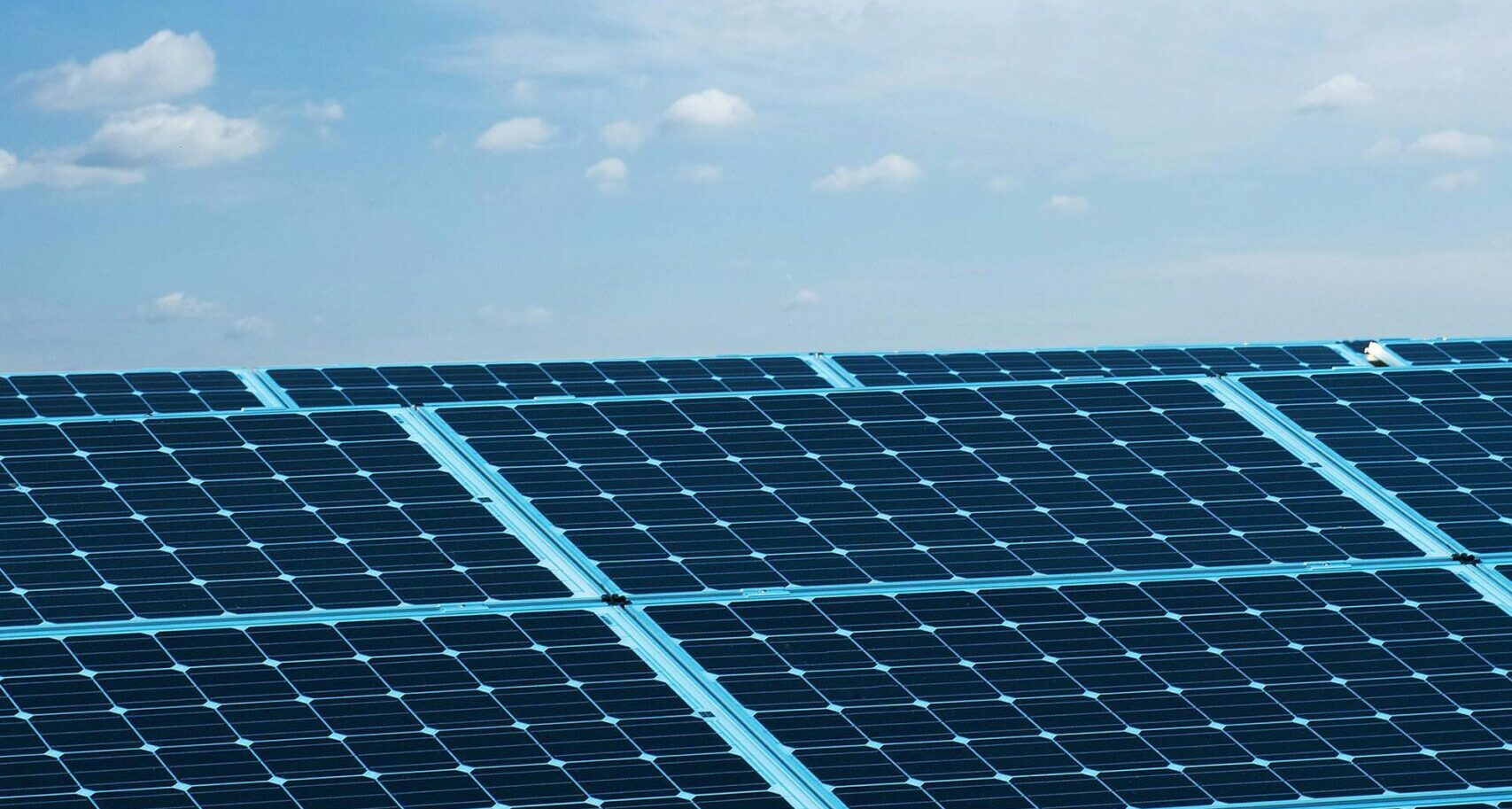 SBTi 2025: corporate climate targets insights | Nexio Projects