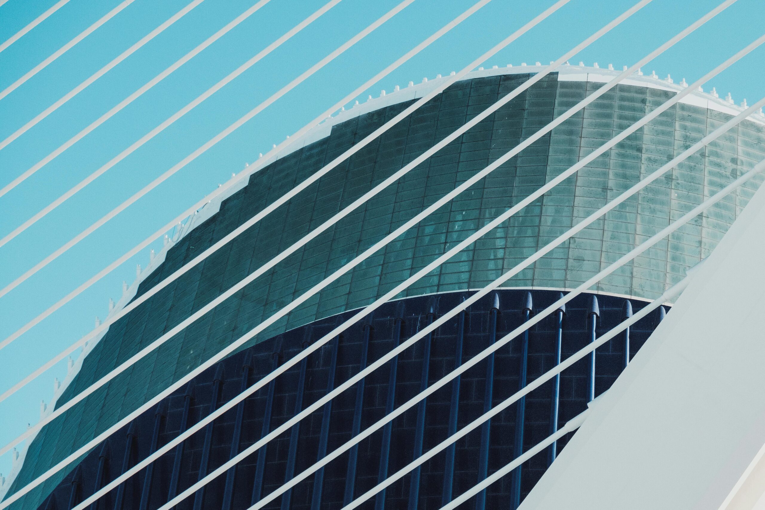 Understanding the 2025 EcoVadis scorecard | Nexio Projects