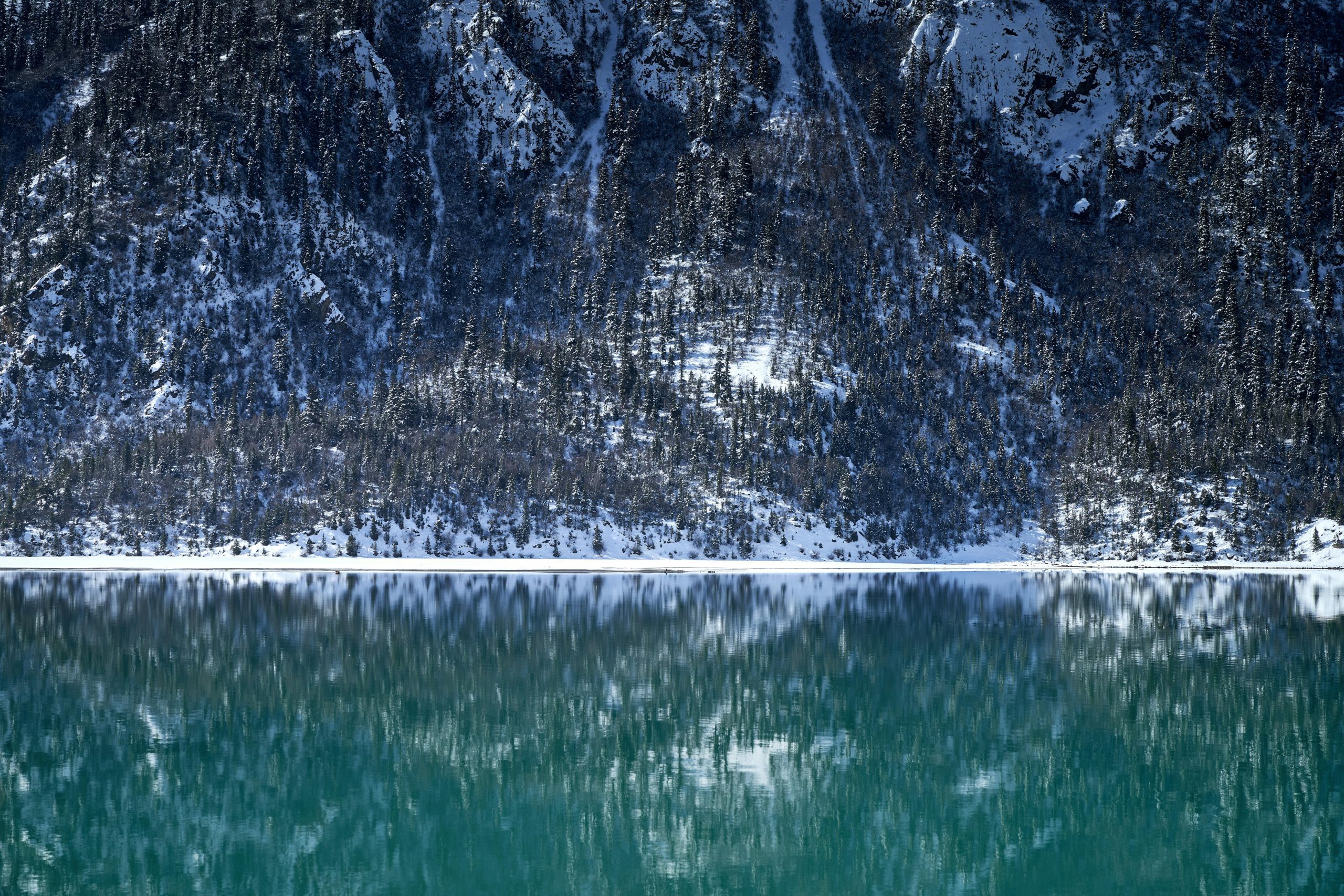 Reducing emissions in the supply chain | Nexio Projects