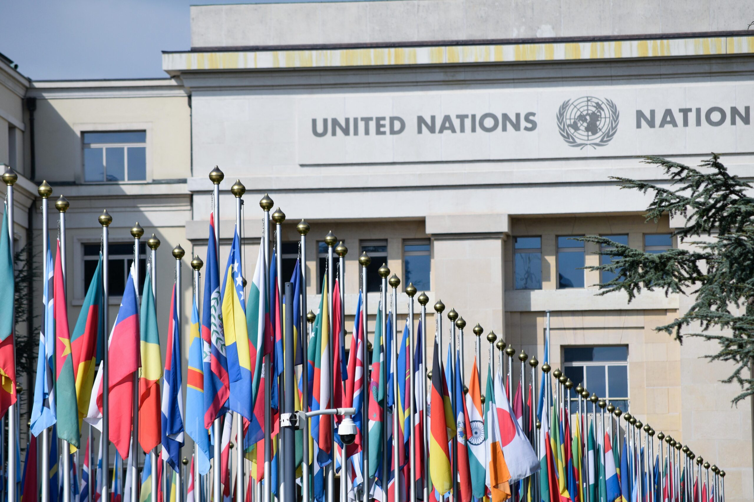 UNGC CoP questionnaire 2026: Key changes | Nexio Projects